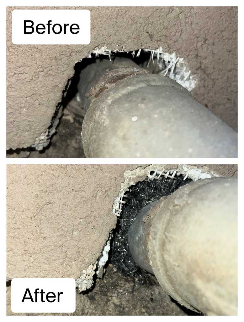Rodent Exclusion and House Sealing Services • Near Chicago